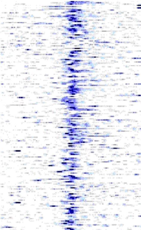 Example Of Tss Read Heatmap For Select Genes Download Scientific Diagram