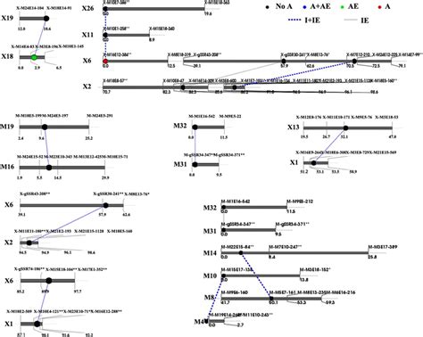 Location Of Epistatic Qtls For Wat Traits In Joint Analysis Of Four