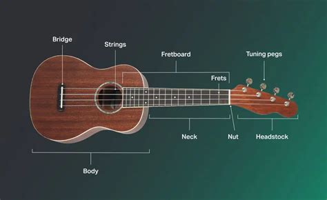Ukulele Basics Parts