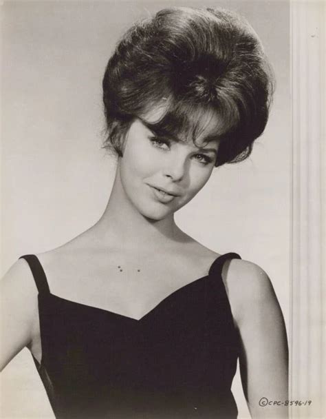 35 Beautiful Photos Of Stefanie Powers In The 1960s ~ Vintage Everyday
