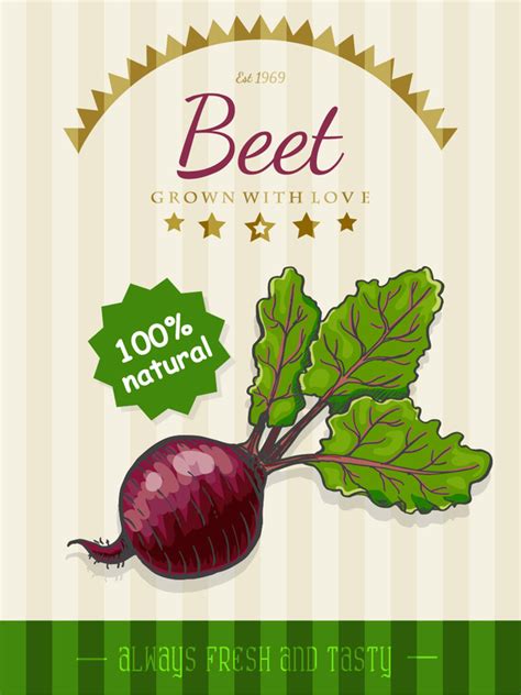 Beet Poster Vector Free Download