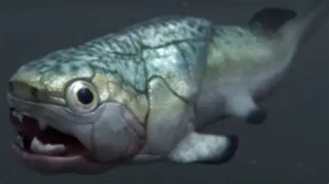 World's oldest heart found in prehistoric fish