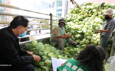 Dahil Sa Sobrang Suplay Presyo Ng Repolyo Bumaba