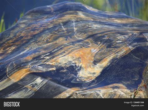 Mylonite Metamorphic Image And Photo Free Trial Bigstock Mylonite Metamorphic Image And Photo Free Trial Bigstock