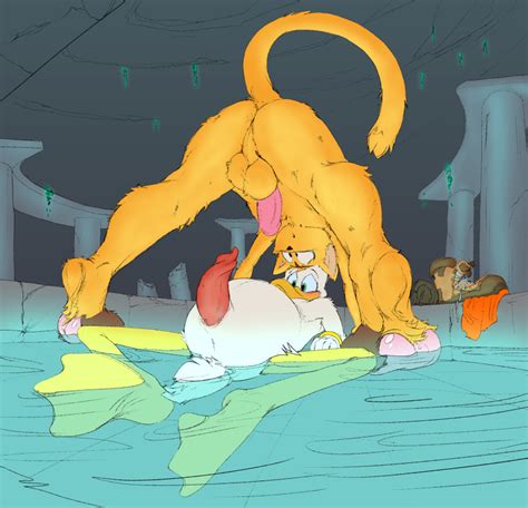 Rule 34 Anatid Anseriform Anthro Avian Bird Domestic Cat Duck Duo Feet Felid Feline Felis