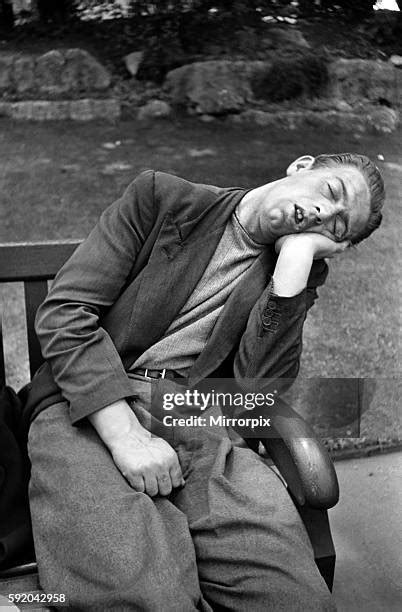 Funny Sun Bathing Photos And Premium High Res Pictures Getty Images