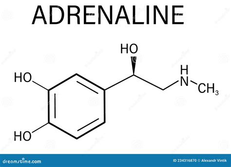 Adrenaline Or Adrenalin Epinephrine Neurotransmitter Molecule Skeletal Formula Stock Vector
