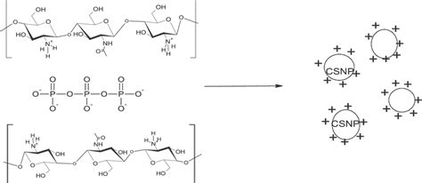 Schematic Illustration Of The Ionotropic Gelation Process Download Scientific Diagram