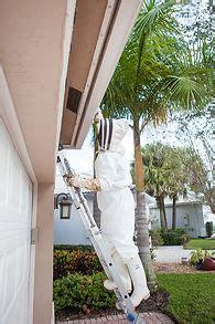 Coral Springs Pest Control Buglife Pest Control Coral Springs