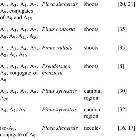 Alexander Christmann Technische Universität München München Tum