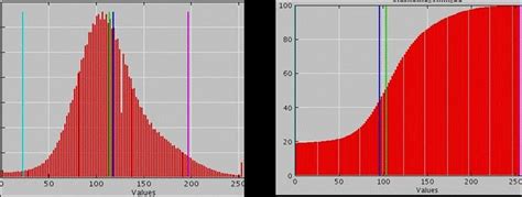 Gray Scale Histogram And Cumulative Gray Scale Histogram Of The Download Scientific Diagram