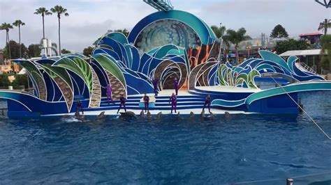 Dolphin Days Live Show Seaworld San Diego Youtube