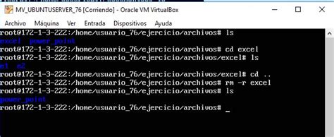 Comando Rm · Comandos Basicos Linux