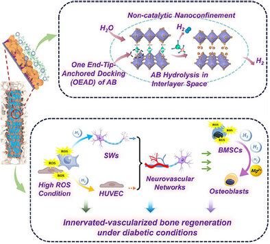 Nanoconfinement Of Ammonia Borane Via Hybrid‐phased Titanate