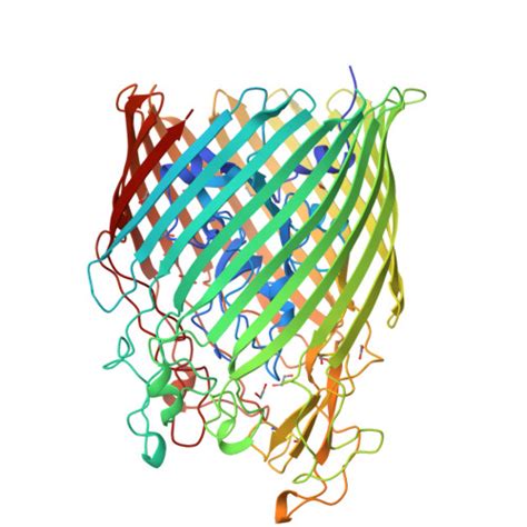 Rcsb Pdb 5m9b Crystal Structure Of The Ferric Enterobactin Receptor Pfea From Pseudomonas