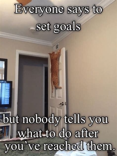 41 Goals Memes To Inspire A Successful 2024 Develop Good Habits