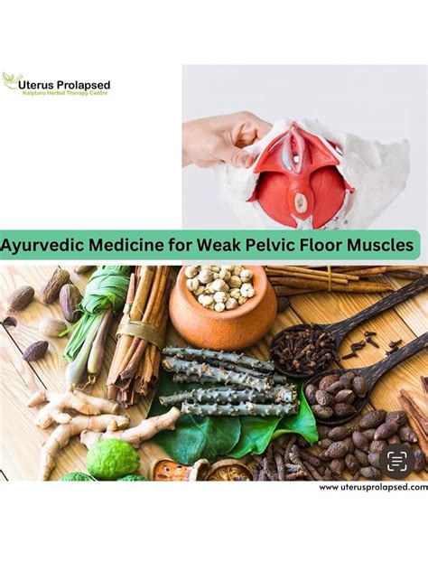 Kalptaru Herbal Therapy Centre Prolapsed Uterus Treatment At Home