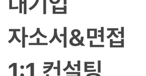 대기업 자소서면접 컨설팅 고수의 면접 컨설팅 서비스 서울특별시 서초구 숨고 숨은고수