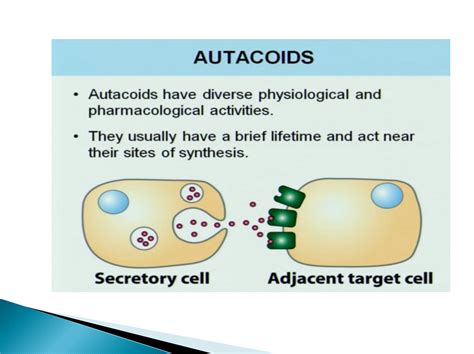 Solution Introduction To Autocoids Ppt Studypool