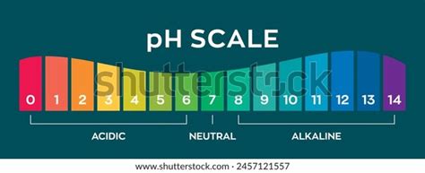 Ph Value Scale Chart Acid-alkaline Solution Stock Vector (Royalty Free) 2457121557 | Shutterstock