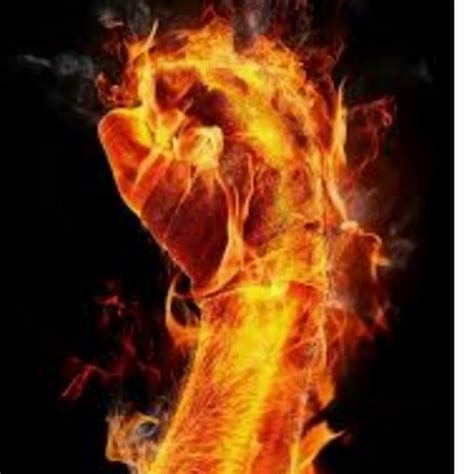 Enzo Freitas Youtube