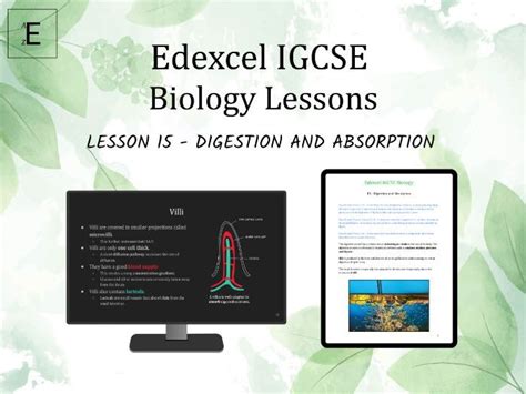 Edexcel Igcse Biology Lesson 15 Digestion And Absorption Teaching Resources