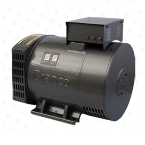 Alternador Gerador De Energia Branco 21 6 Kva Trifásico 380v