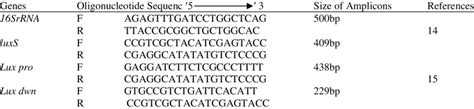 The Oligo Synthesis Nucleotide Sequences Alpha Canada Download