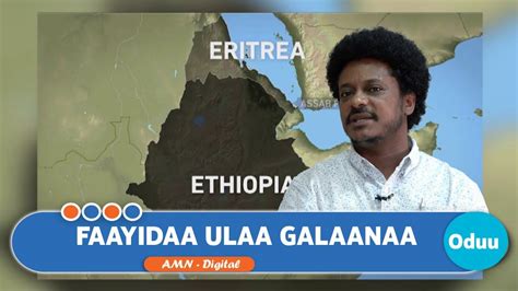 Faayidaa Ulaa Galaanaa Youtube