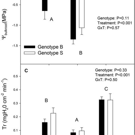 Shoot Water Potential ψ Shoot A Bulk Root Water Potential ψ