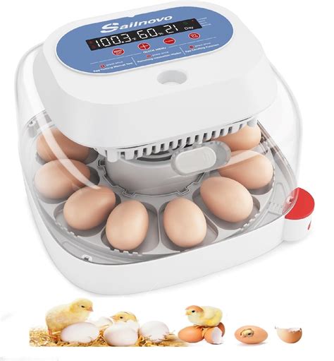 Adnoom Egg Incubator For Hatching Eggs 12 Chicken Incubator For Eggs W