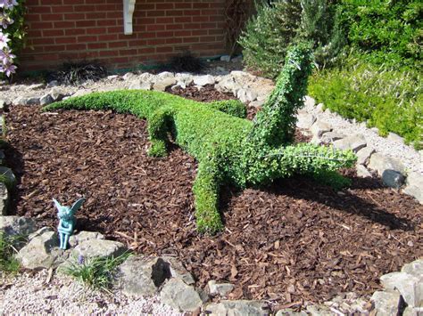 Classic And Living Plant Topiary Gallery Topiary Art Designs
