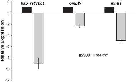 Confirmation Of Gene Dysregulation In The Rne Truncation Strain Rna Download Scientific