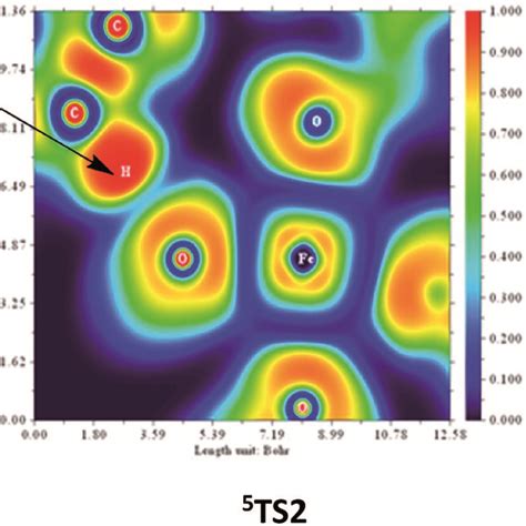 Color Scale Plot Of The Electron Localization Function Elf Of Species