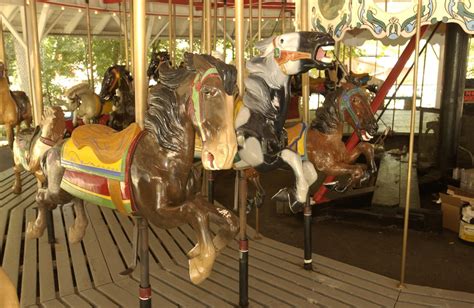 The Carousel Circuit Leadership Alliance