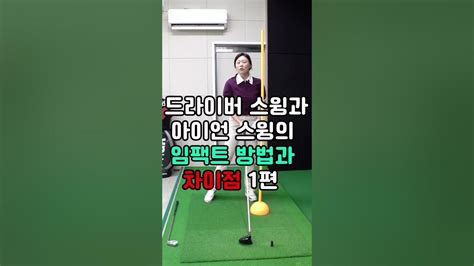 드라이버와 아이언 스윙의 차이점 드라이버 아이언 잘 치는 법 골프레슨 Shorts Youtube