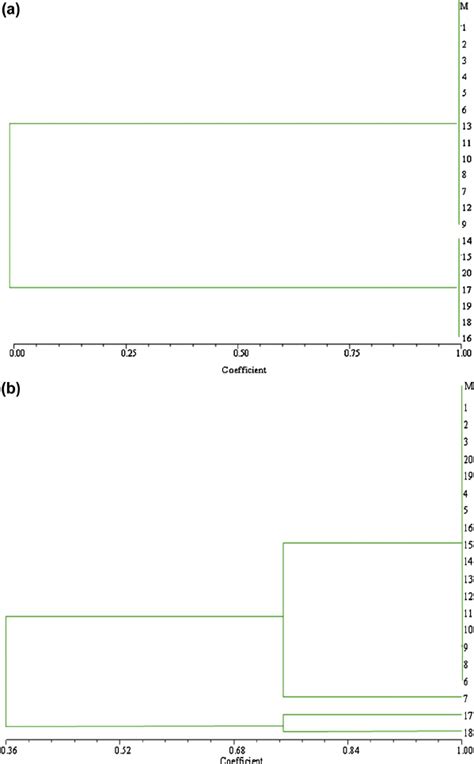 Dendrogram Obtained By Molecular Analysis Of Regenerants Of S Download Scientific Diagram