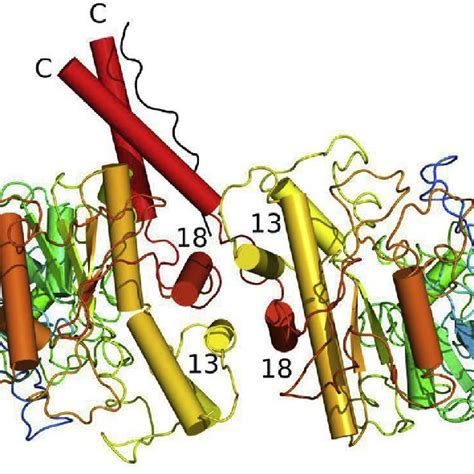 Dimerization Interface Between Two Bche Monomers Belonging To One