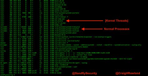 Detecting Linux Kernel Process Masquerading With Command Line Forensics Apnic Blog