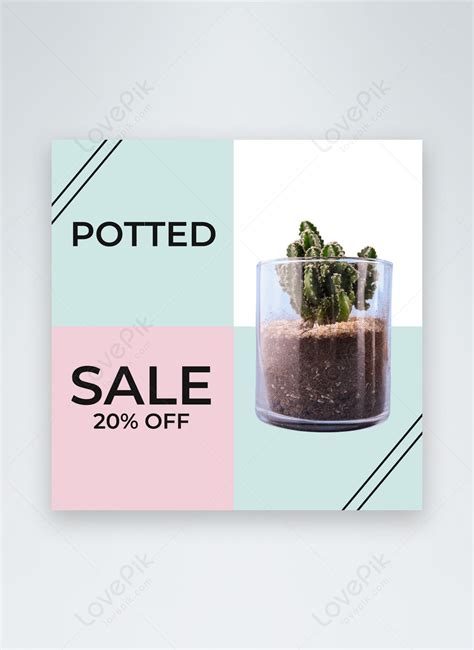 화분에 대한 간단한 제품 프로모션 이미지 사진 469060220 무료 다운로드