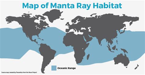 Simplified Map Of Orca Habitat By Seethewild Conservation