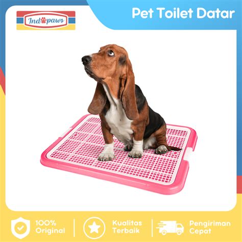 Jual Pet Toilet Training Pee Poop Tempat Pipis Tipe Datar Anti Licin