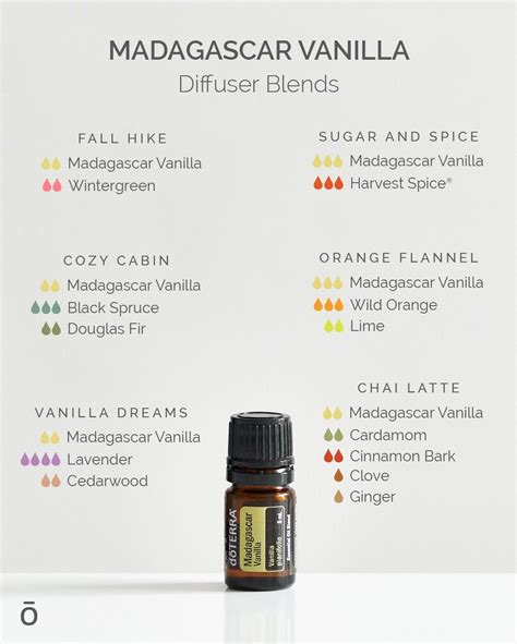 13 Vanilla Diffuser Blends Artofit