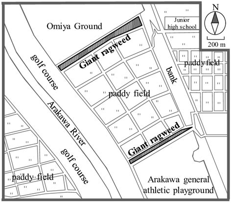 Maps Of The Sampling Locality And Principal Vegetation Download