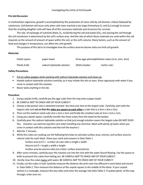 Agar Cell Size Lab Investigating The Limits Of Cell Growth