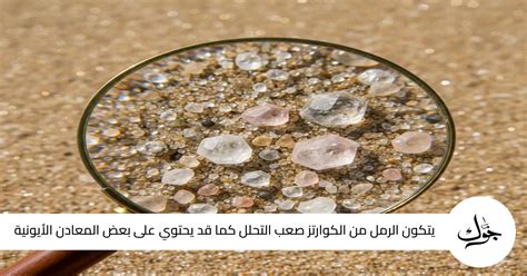 جوَّك التربة تعريفها، مكوناتها، وأنواعها وخصائصها في النظام البيئي