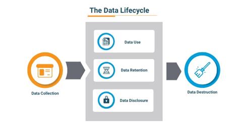 The Data Lifecycle Diagram