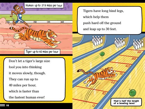 Tigers Cant Purr Book By Thea Feldman Lee Cosgrove Official