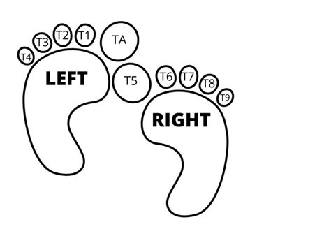 Podiatry Toe Modifier L Medical Billing L Podiatry L Modifiers L Cheat
