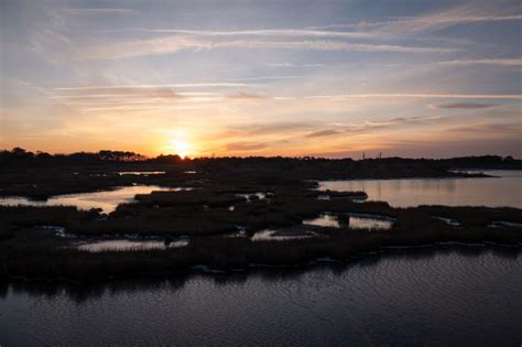 Im Happy To Share That Ive Started A New Position As Nature Based Solutions Lead For Climate